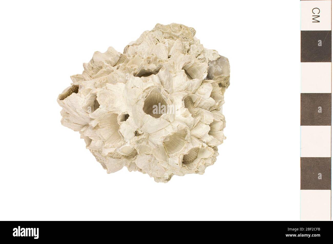 Gravel open Cut Out Stock Images & Pictures - Alamy