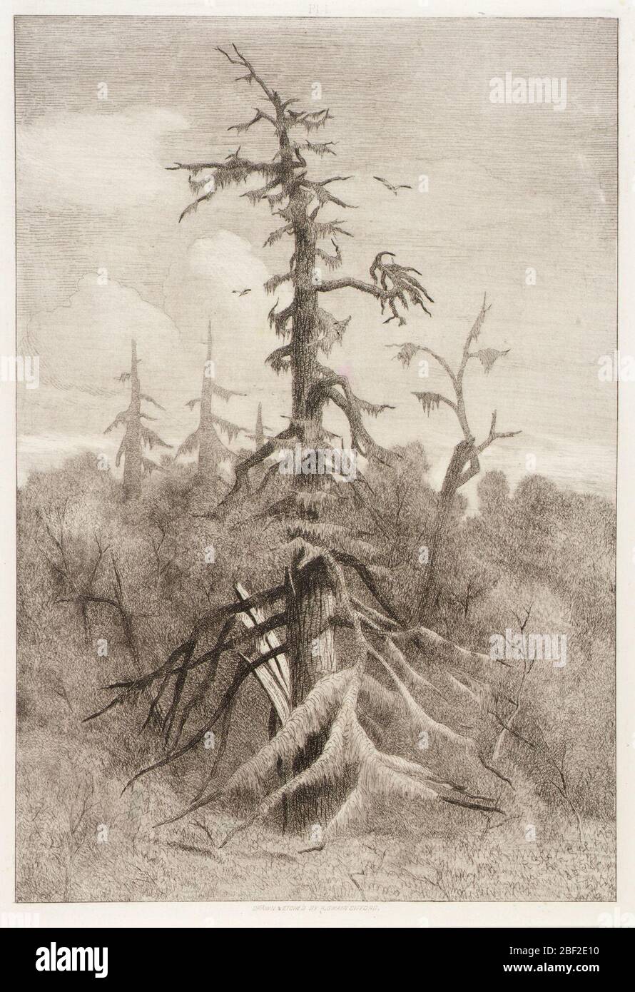 Naushon hi-res stock photography and images - Alamy