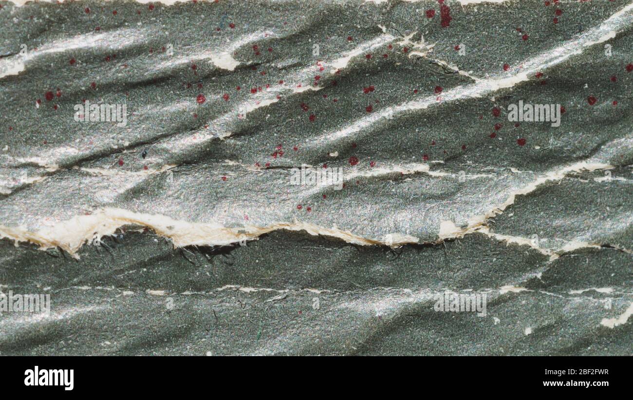 Old Book Spine Texture