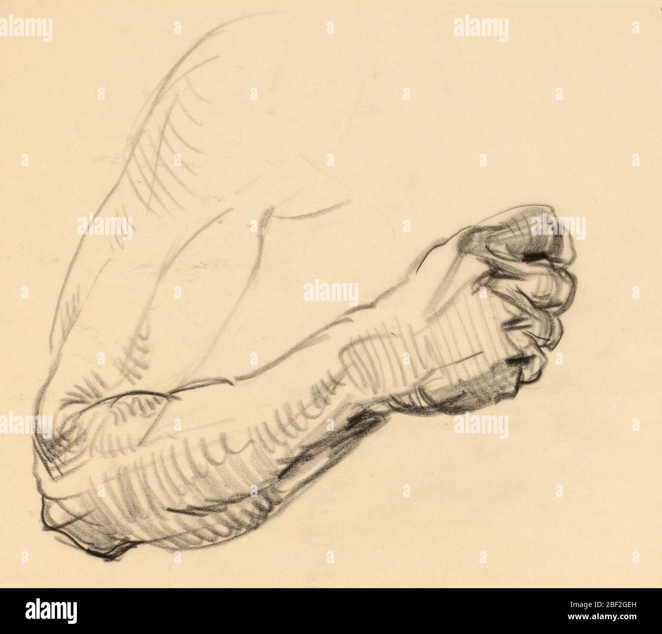 Human arm anatomy hi-res stock photography and images - Alamy