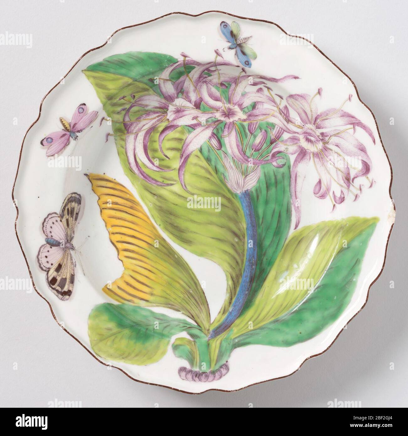 Four winged insects hi-res stock photography and images - Alamy