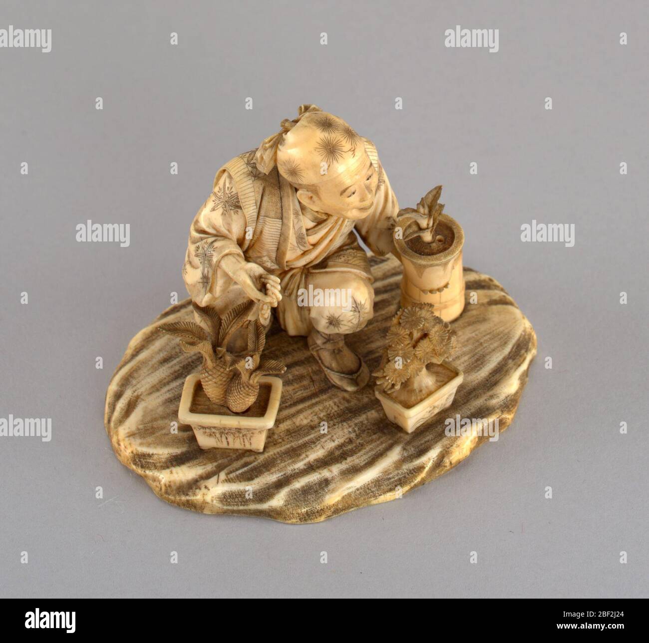 Figure. Men with bonsai trees Stock Photo - Alamy