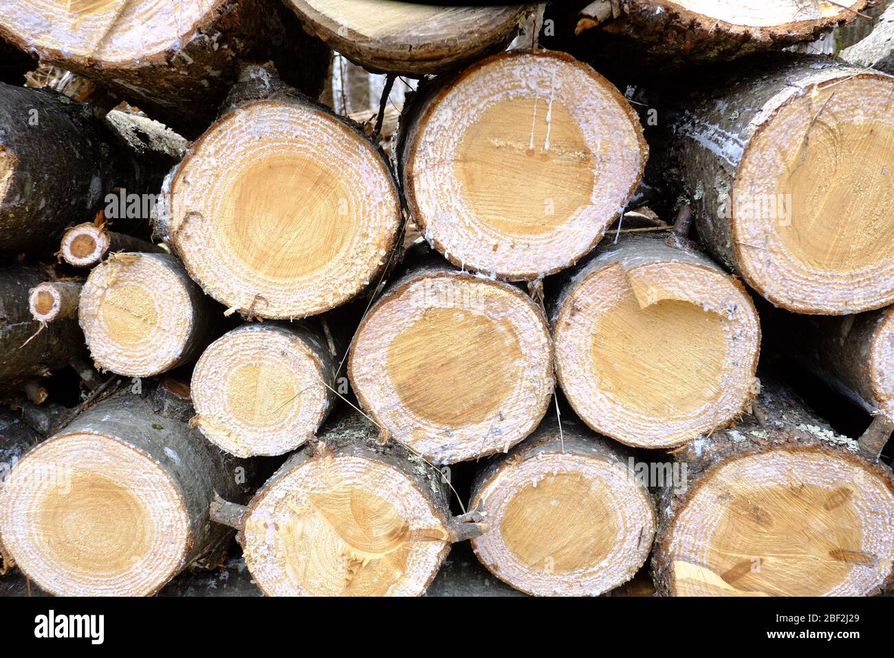 Seeping out hi-res stock photography and images - Alamy