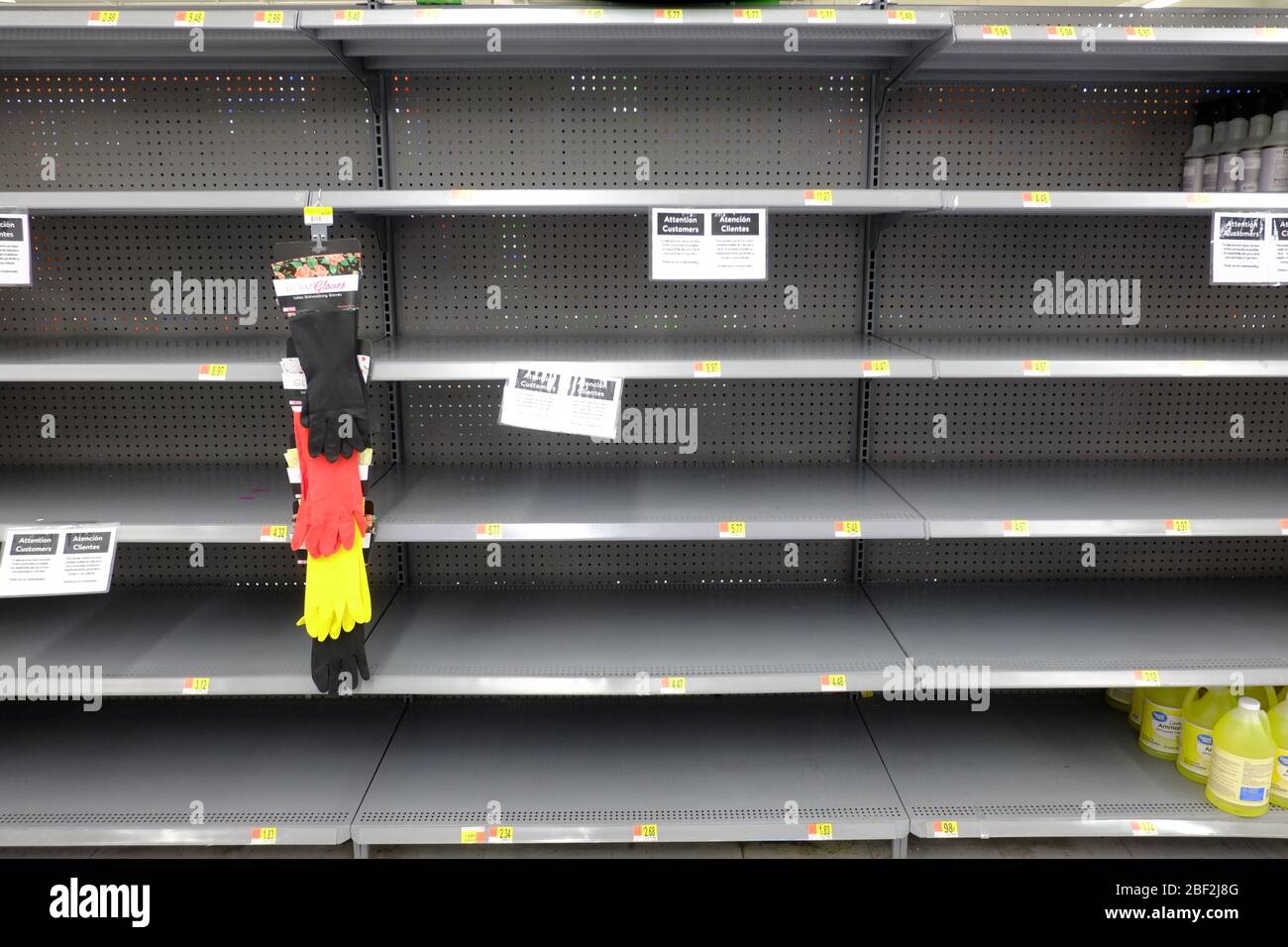 Empty supermarket shelves during Covid-19 pandemic Stock Photo - Alamy