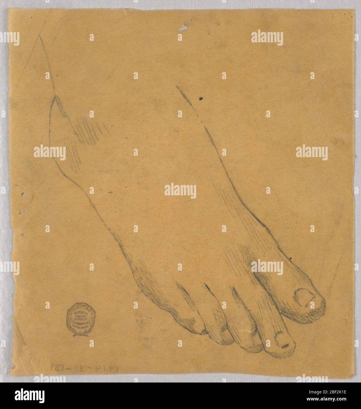 Study of a foot hi-res stock photography and images - Alamy