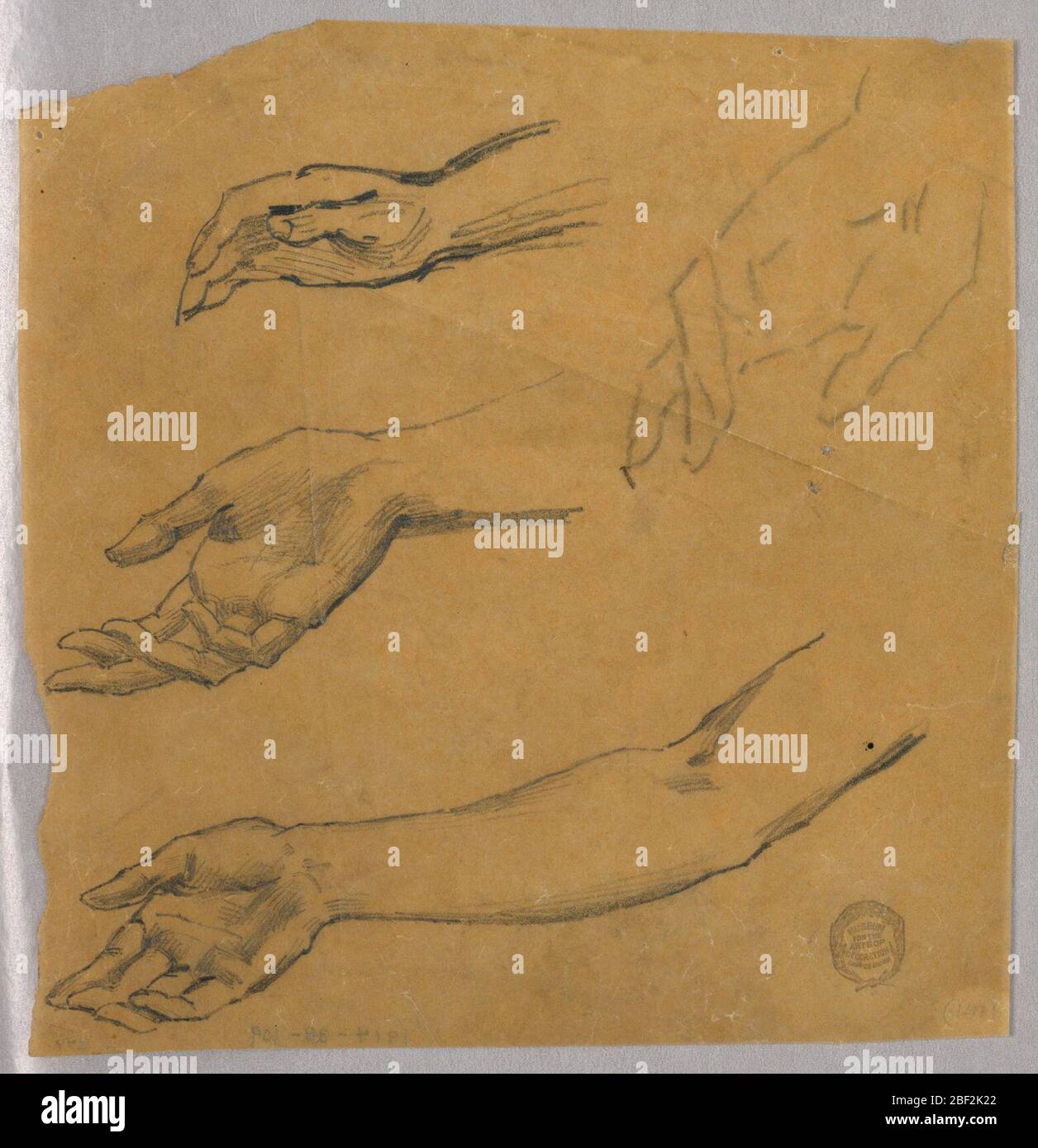 Three Studies of a Hand and Arm. Top, right hand and wrist with palm ...