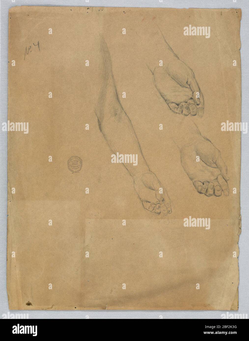 Three Studies of a Left Hand. Hand with palm up, shown from center. To ...