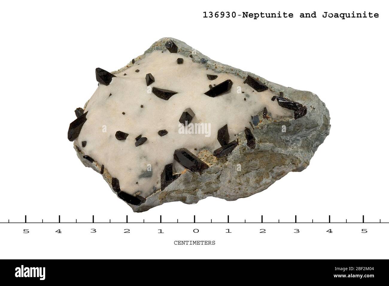 Neptunite hi-res stock photography and images - Alamy