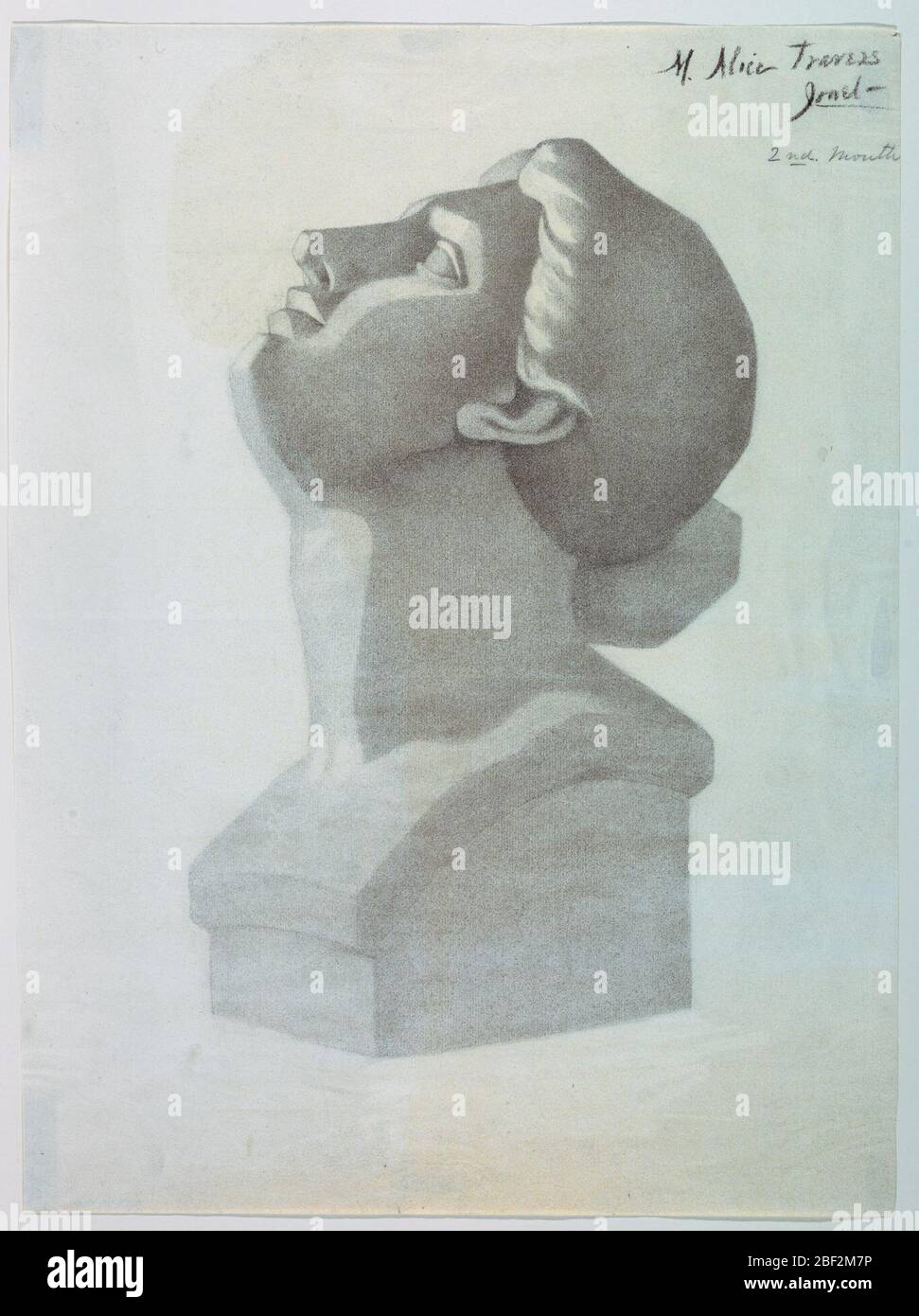 Vertical rectangle The head of a woman tilted upward and facing left ...