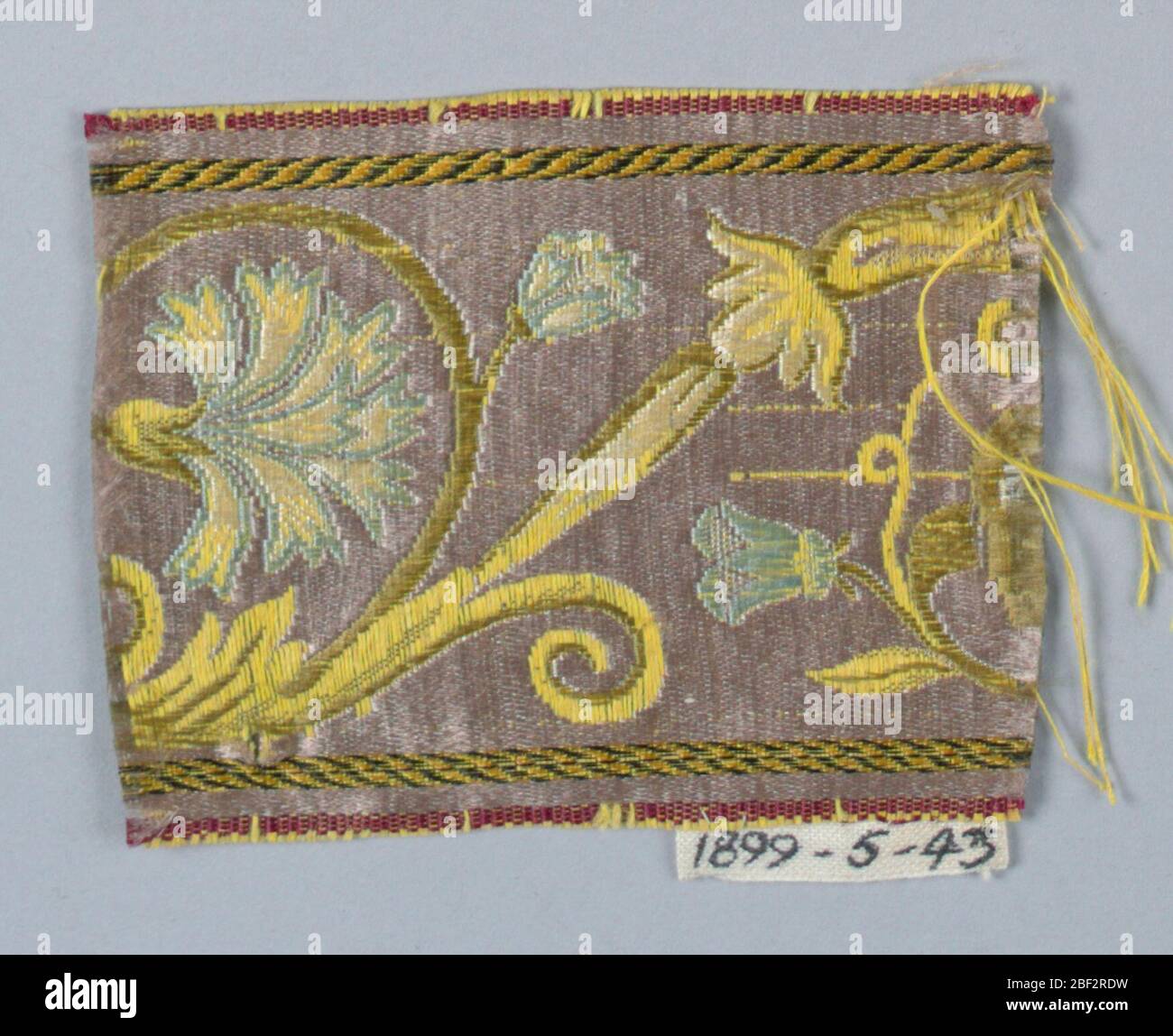 Trimming fragment. Flower and stems in pale colors on dark ground Stock ...