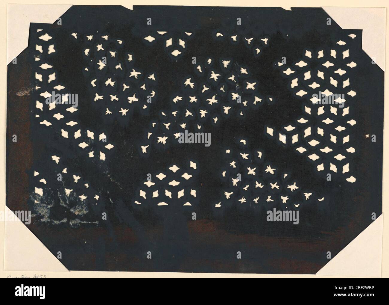 Organic Clusters. Various clusters of different organic shapes form ...