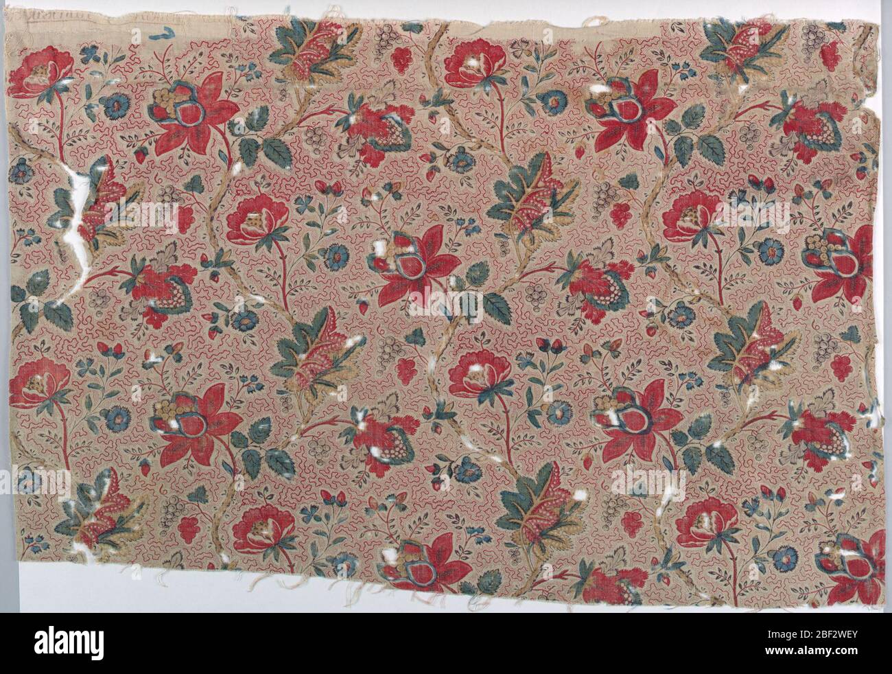 Textile. Polychrome design of flowers and stems on a vermicular ...
