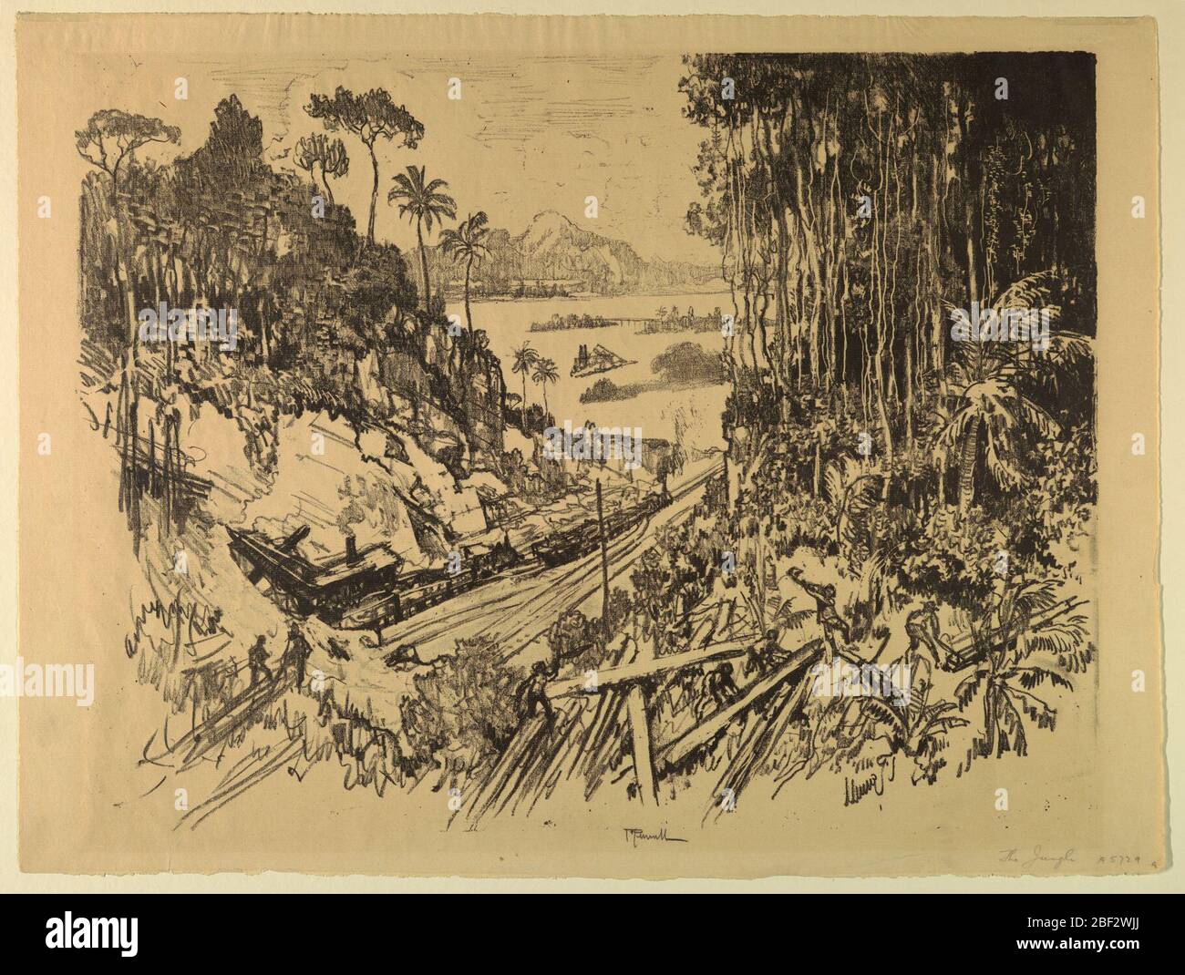 The Jungle The Old Railroad from the New. View showing the cutting down ...