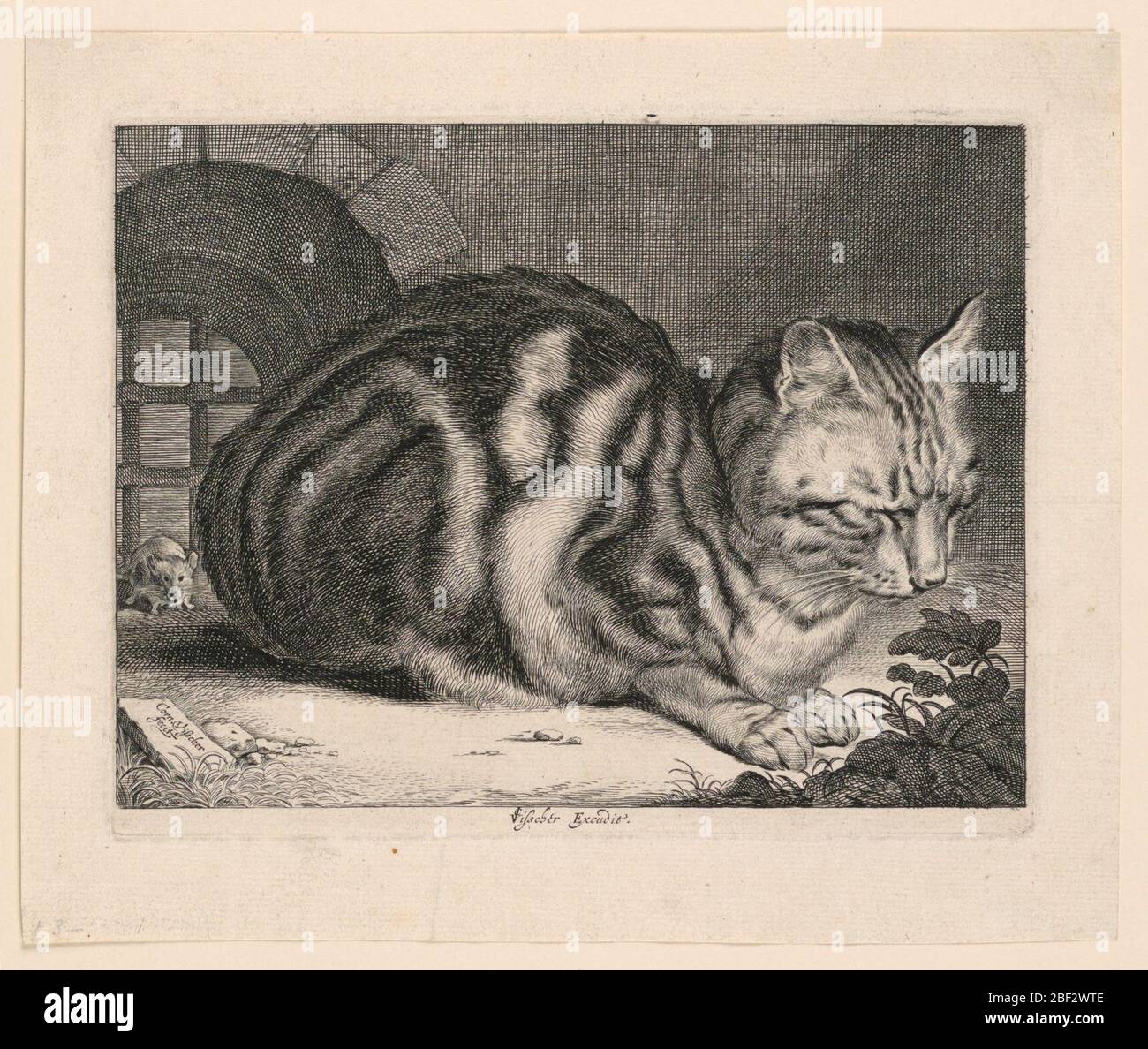 The Large Cat Stock Photo - Alamy