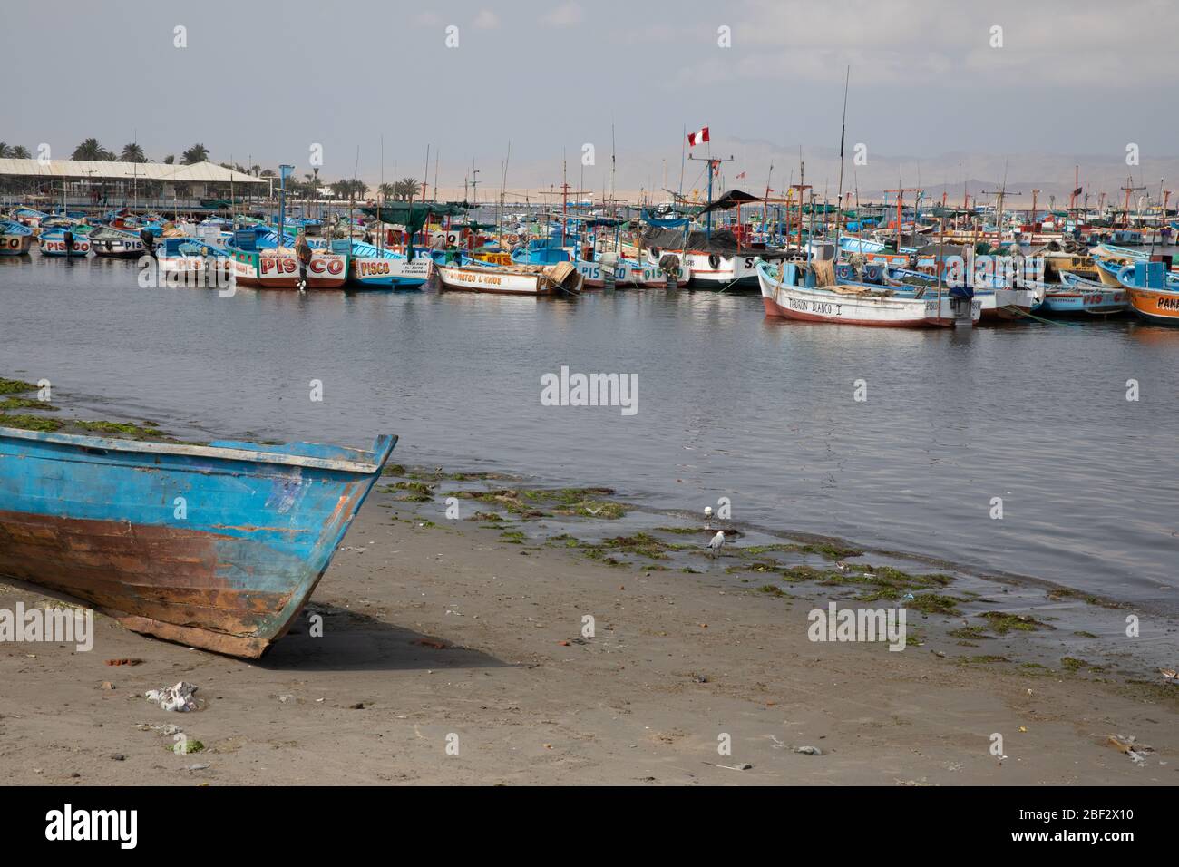 Pisco bay hi-res stock photography and images - Alamy