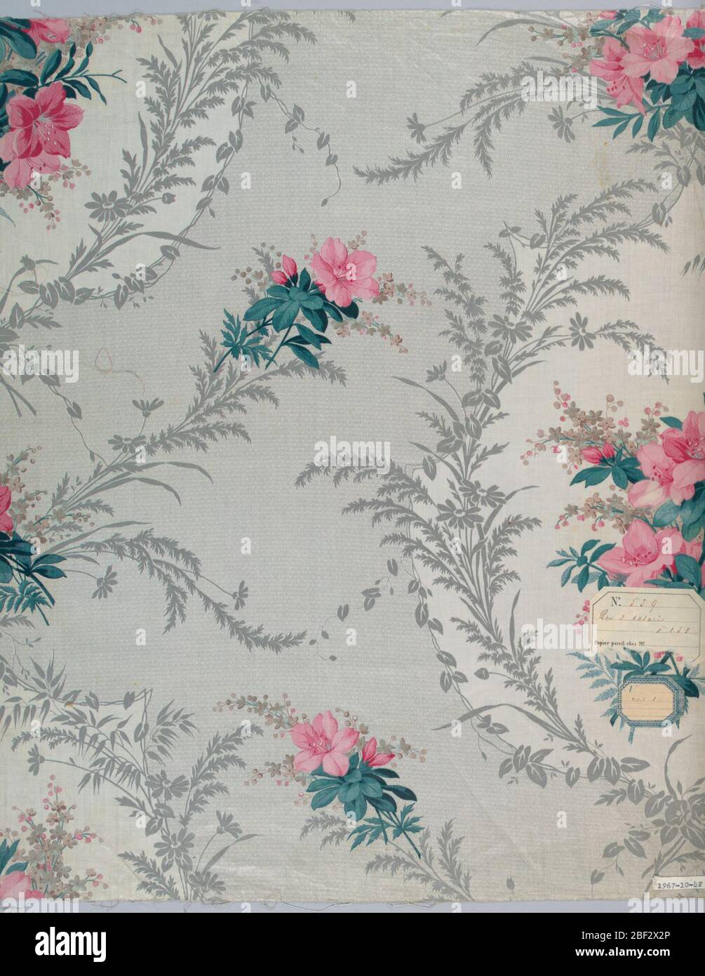 Grey foliage frame white areas hi-res stock photography and images - Alamy