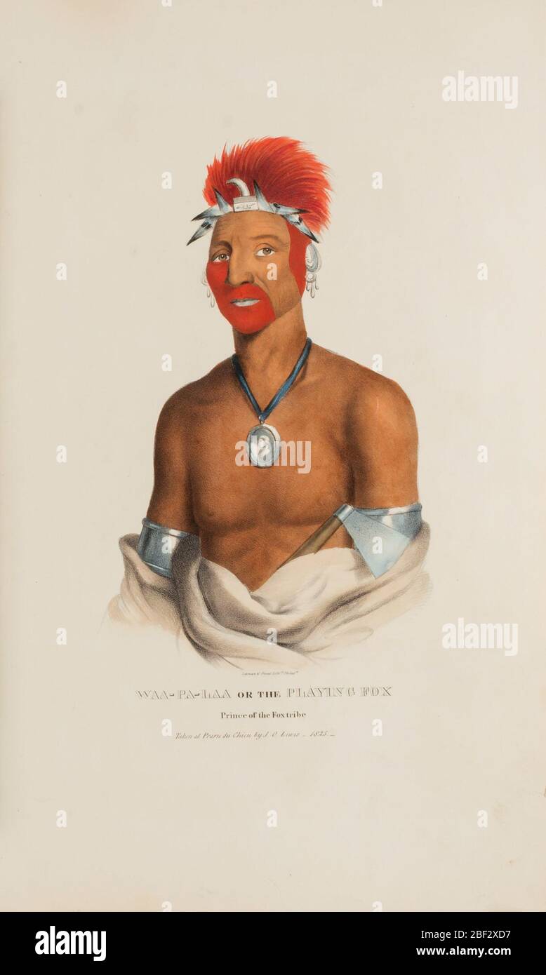 Fox tribe hi-res stock photography and images - Alamy