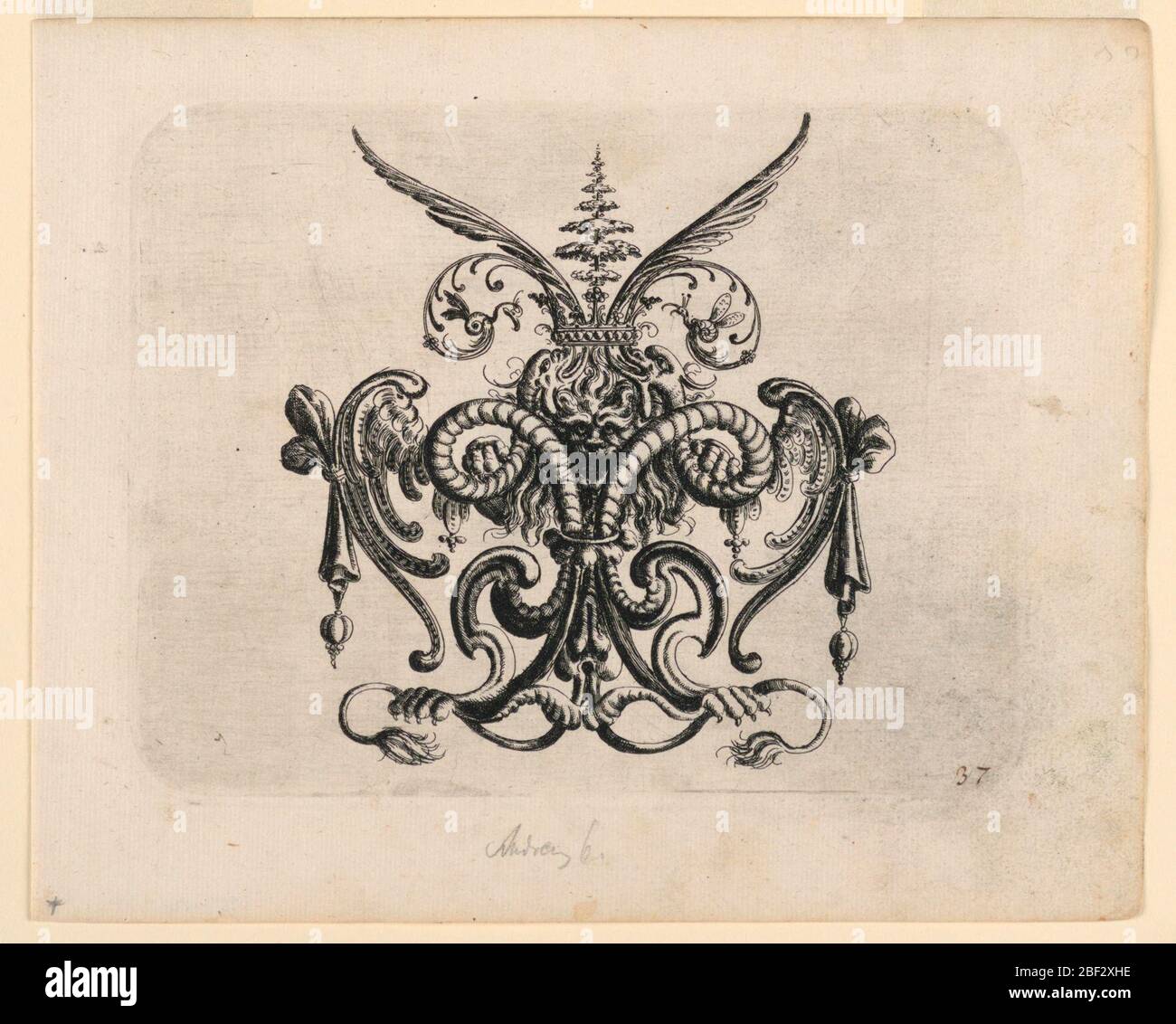 Grotesque cartilage forms hi-res stock photography and images - Alamy