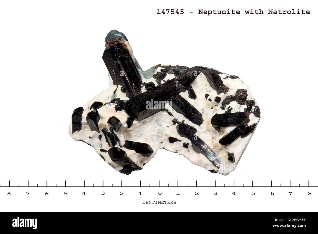 Neptunite. 15 Sep 20161 Stock Photo - Alamy