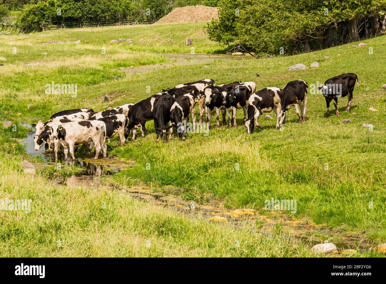 Rural Farm Fields landscape Stock Photo - Alamy