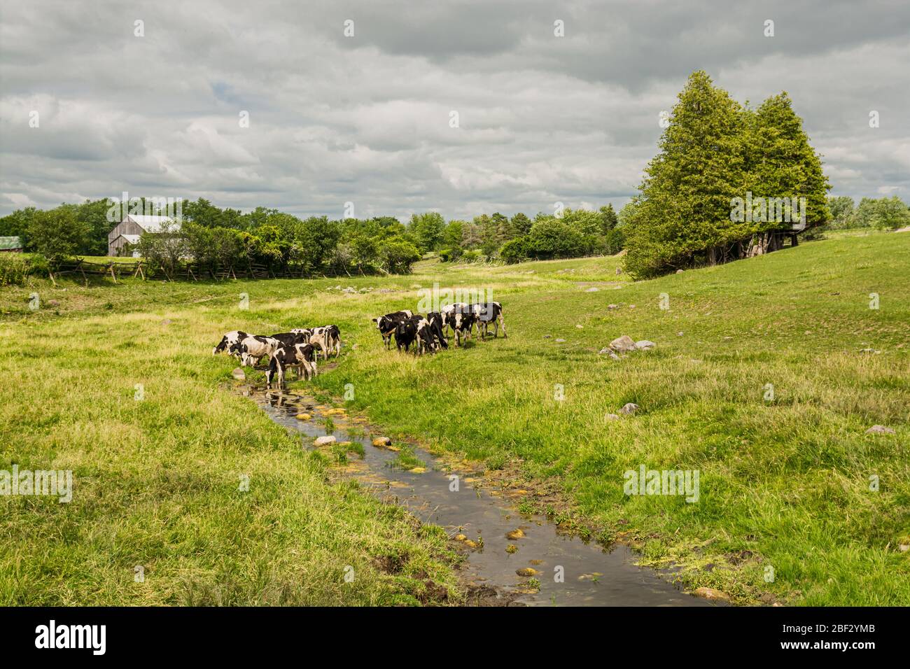 Rural Farm Fields landscape Stock Photo - Alamy