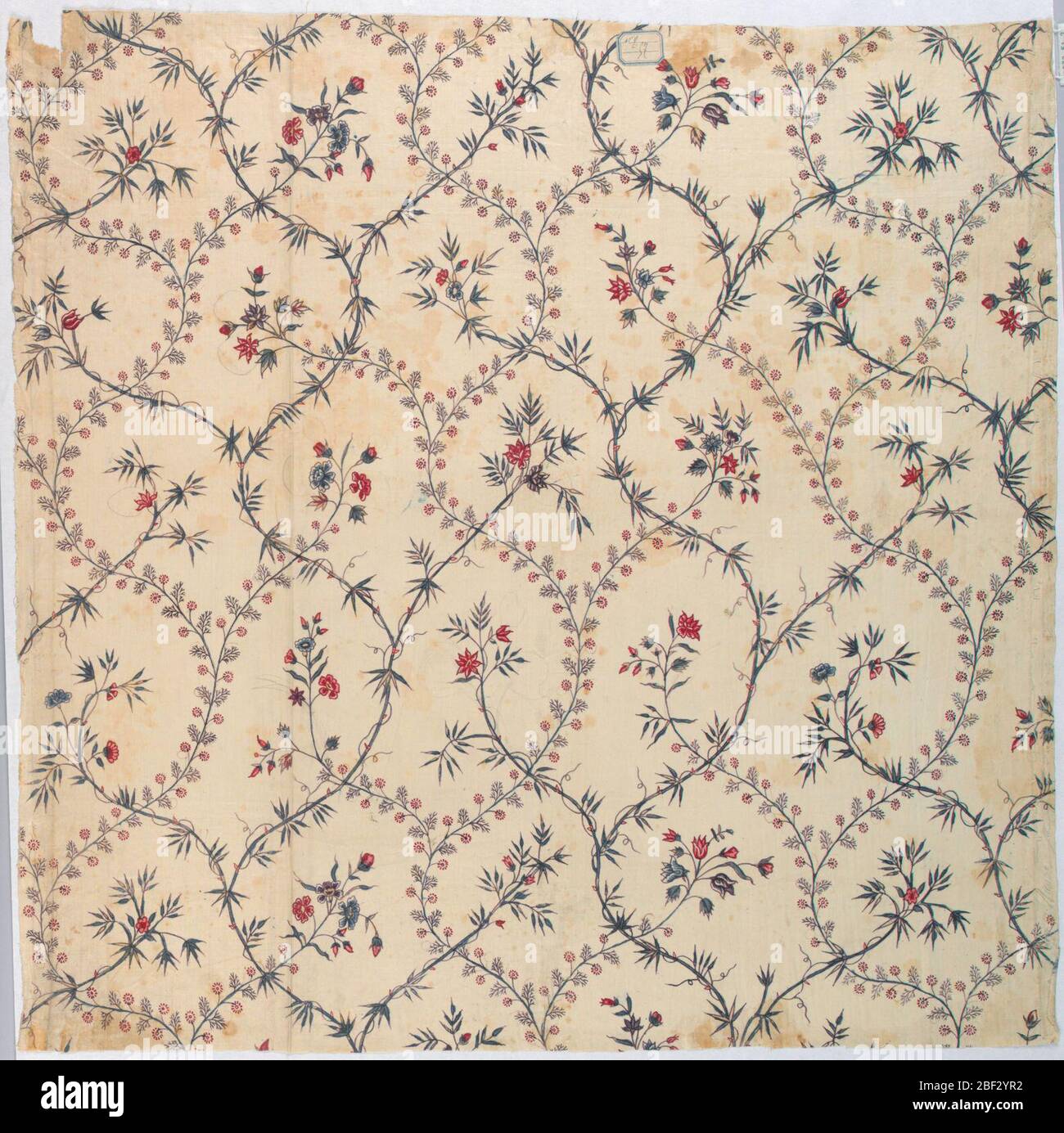 Seaweed vines hi-res stock photography and images - Alamy