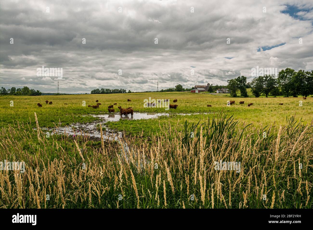 Rural Farm Fields landscape Stock Photo - Alamy