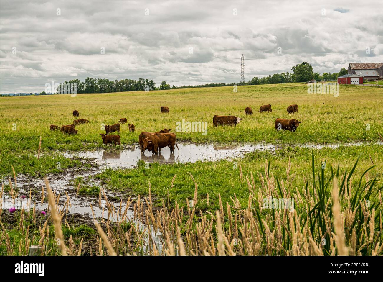 Rural farm fields landscape hi-res stock photography and images - Alamy