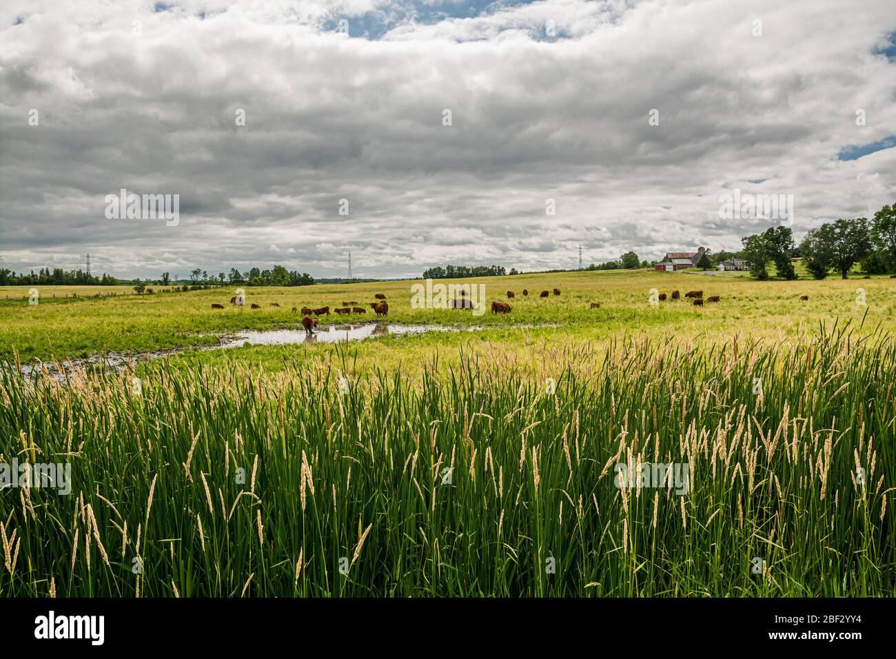 Rural Farm Fields landscape Stock Photo - Alamy