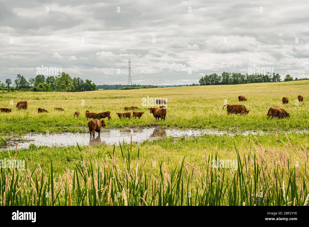 Rural farm fields landscape hi-res stock photography and images - Alamy