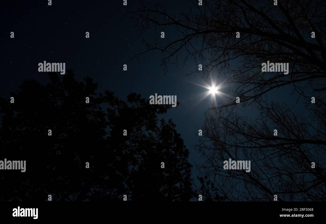 Moon and stars on clear night on ranch in Bend, Oregon Stock Photo - Alamy