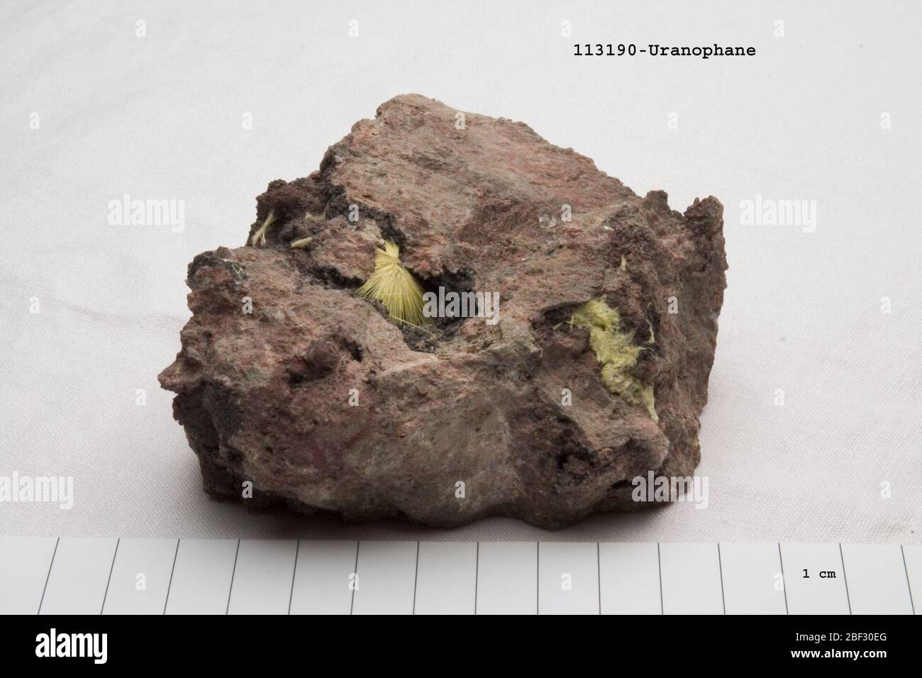 Uranophane. 30 Jun 20165421 Stock Photo - Alamy