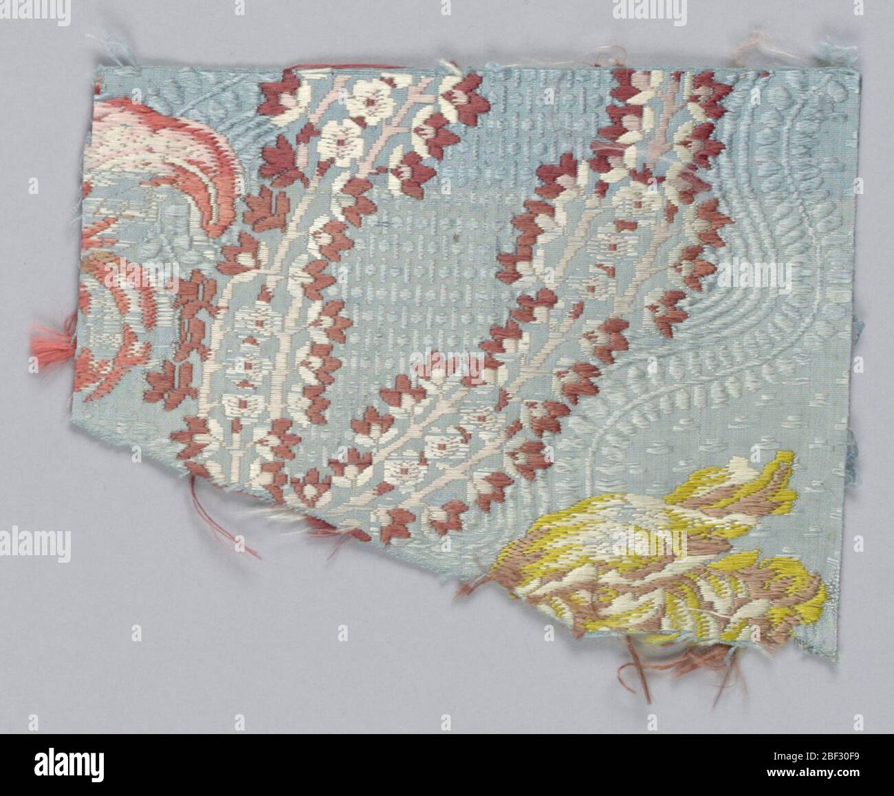 Fragments. Naturalistic flowers, undulating curves and ribbon-like ...