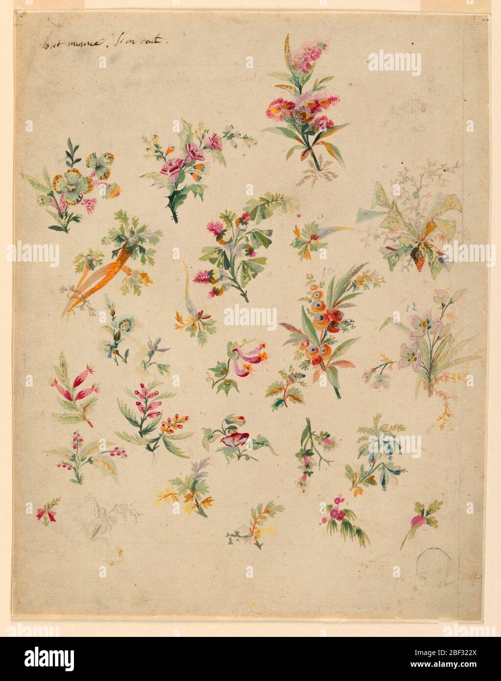 Design for Embroidered Floral Motifs of the Fabrique de St Ruf. Cards ...