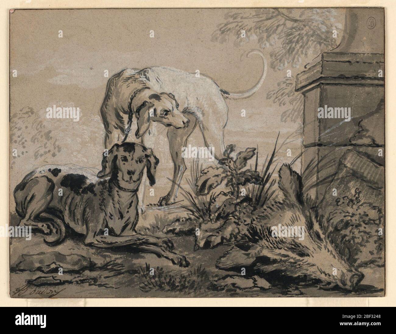 After the Hunt Two Hounds beside a Boars Head. Two dogs, one laying and ...