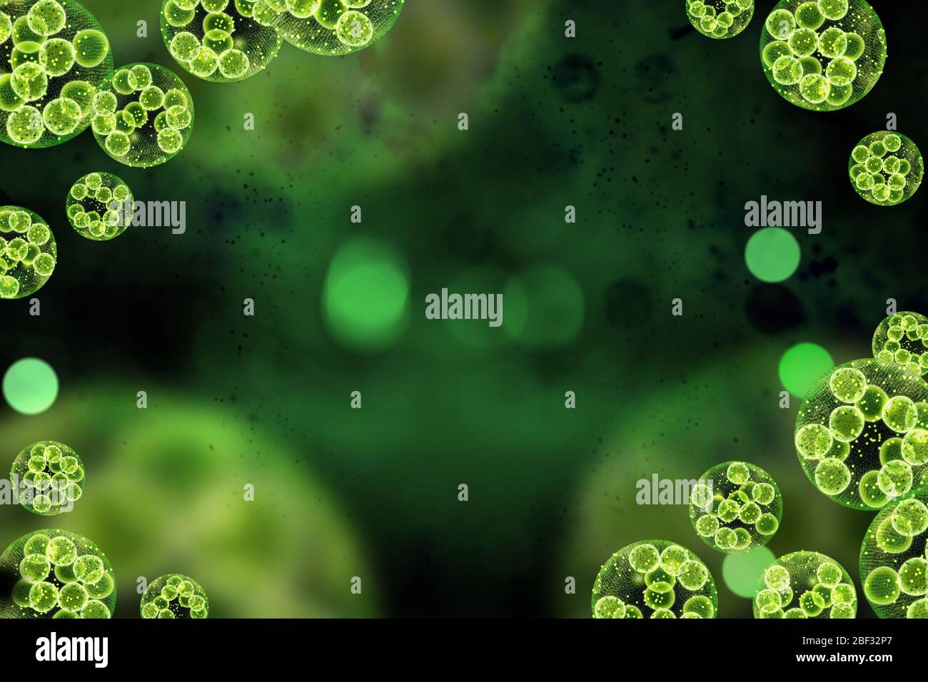 Green single cell chlorella algae microscopic conceptual 3D ...