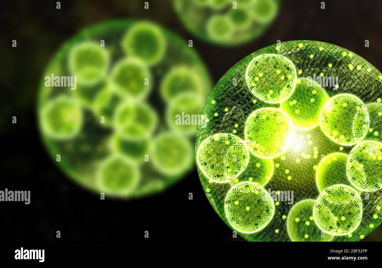 Green single cell chlorella algae microscopic conceptual 3D ...