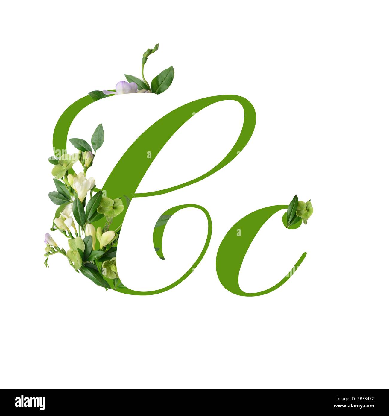 C En Mayúscula Cursiva