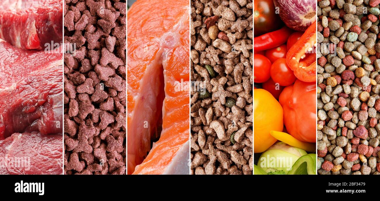 Collage of photos with different pet food Stock Photo - Alamy