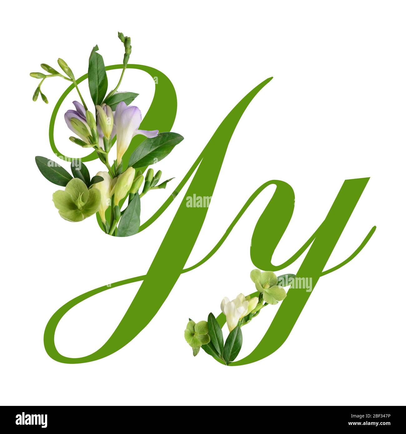 Letter Y with beautiful flowers on white background Stock Photo - Alamy