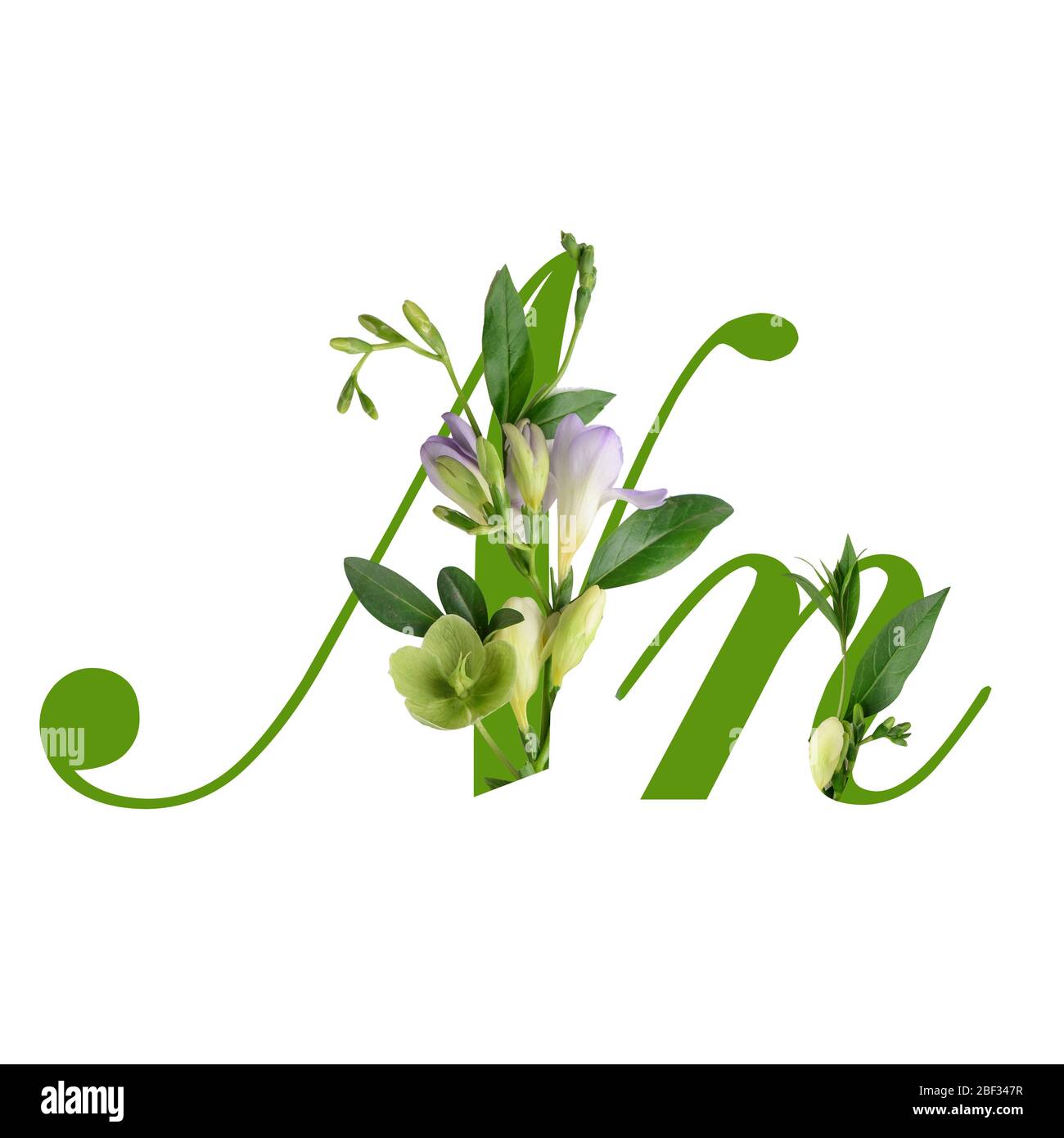 Letter N Flowers High Resolution Stock Photography and Images - Alamy