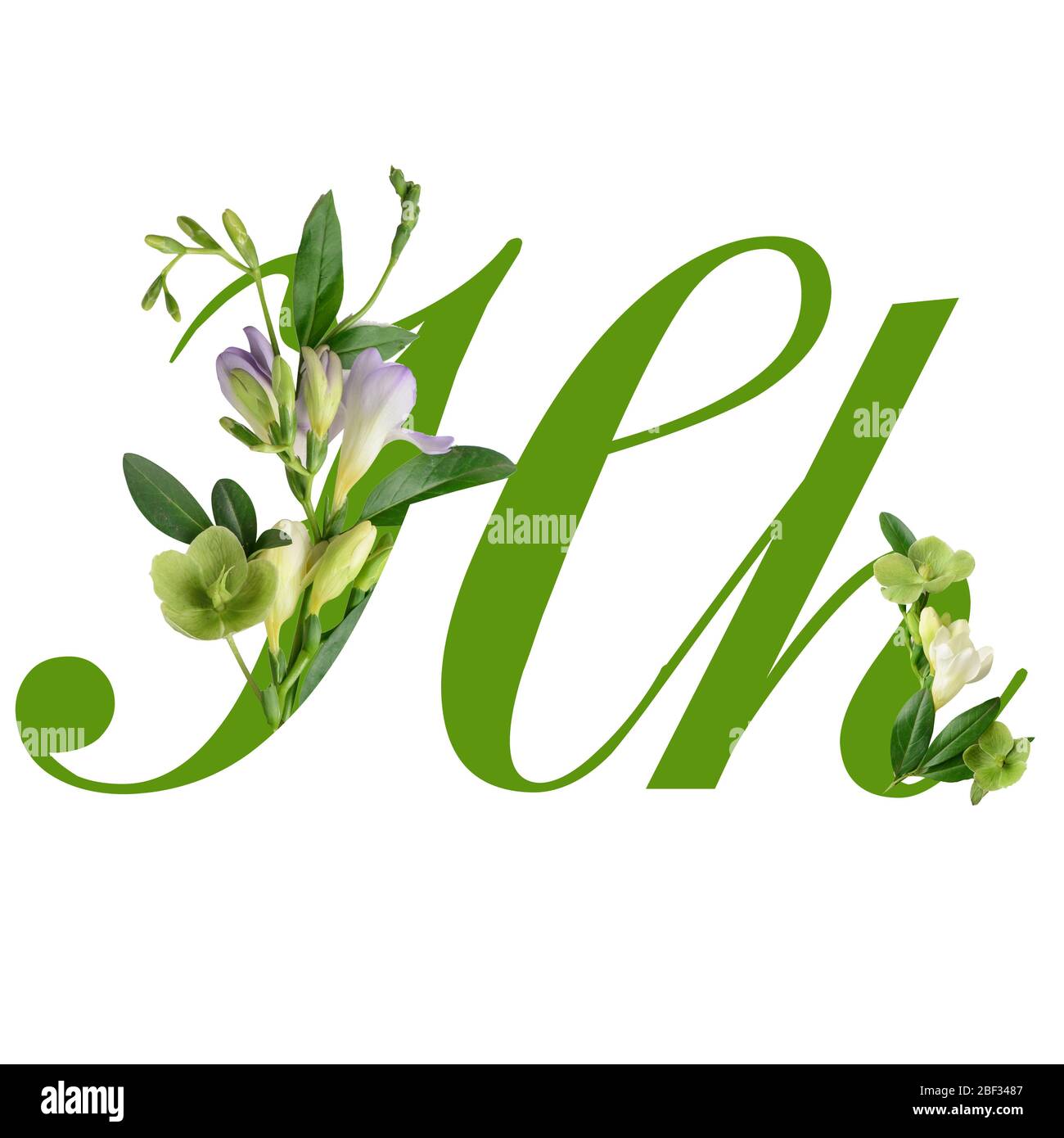 Letter H Flowers High Resolution Stock Photography and Images - Alamy