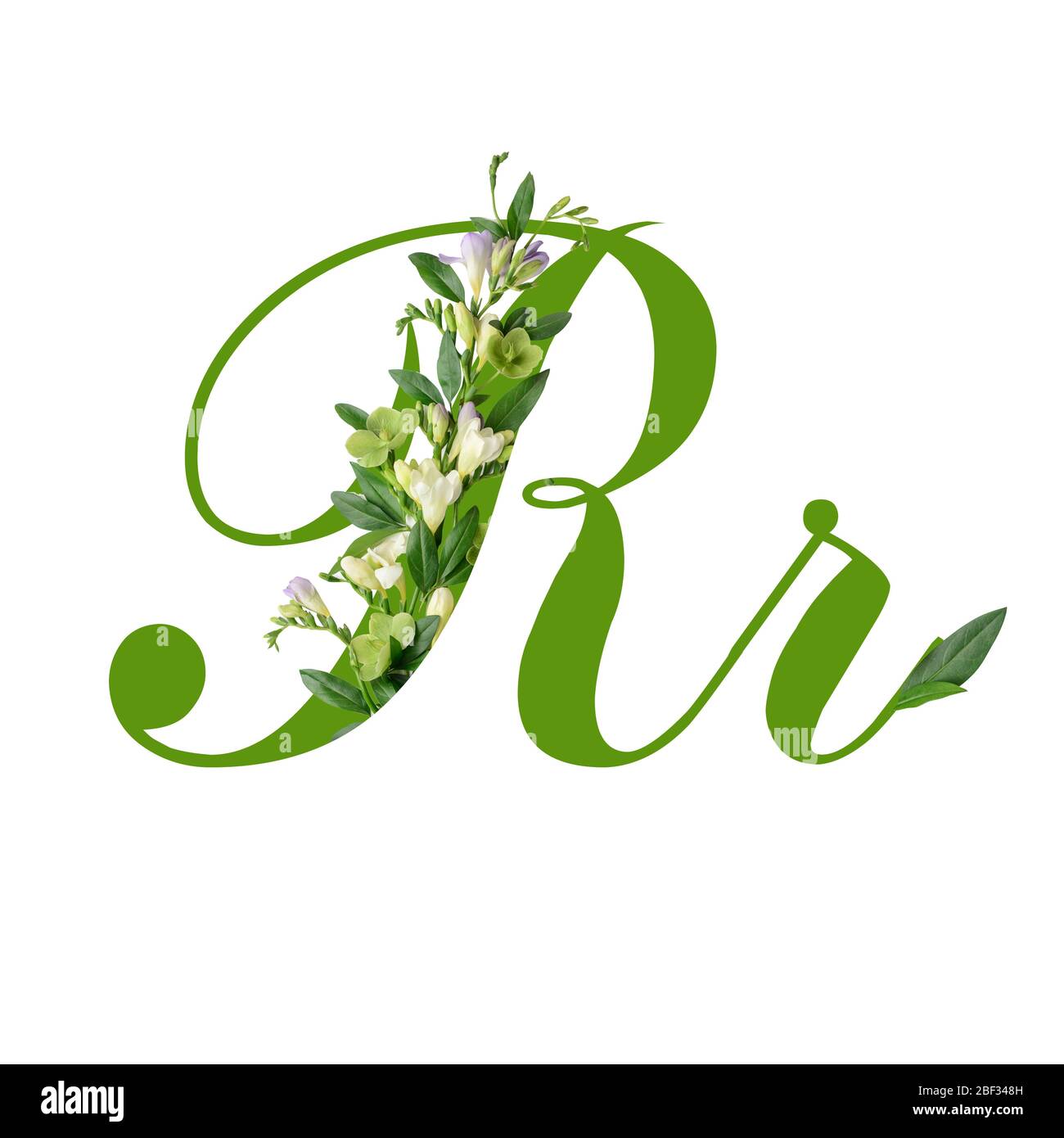 Letter r flowers hi-res stock photography and images - Alamy