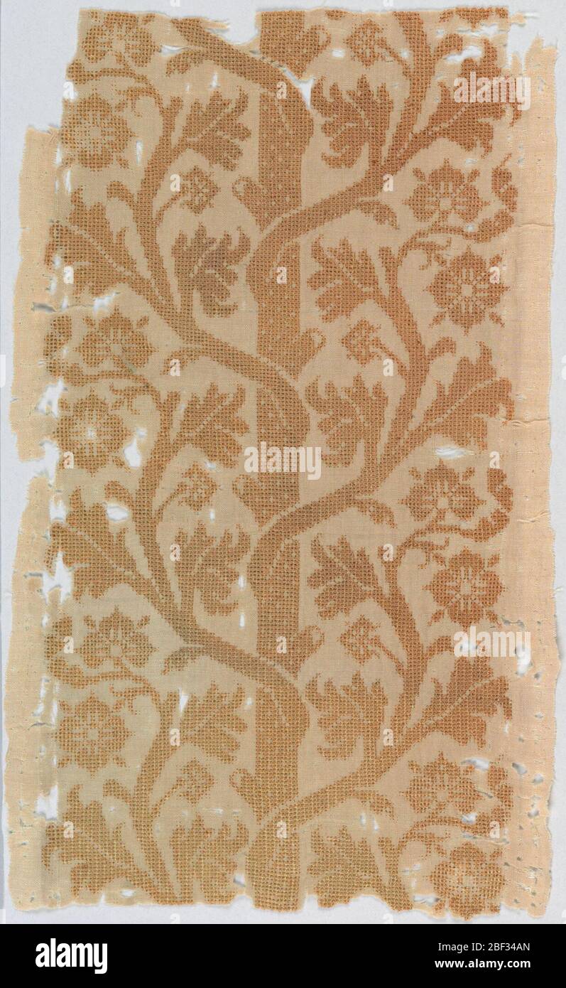 Fine branching patterns hi-res stock photography and images - Alamy