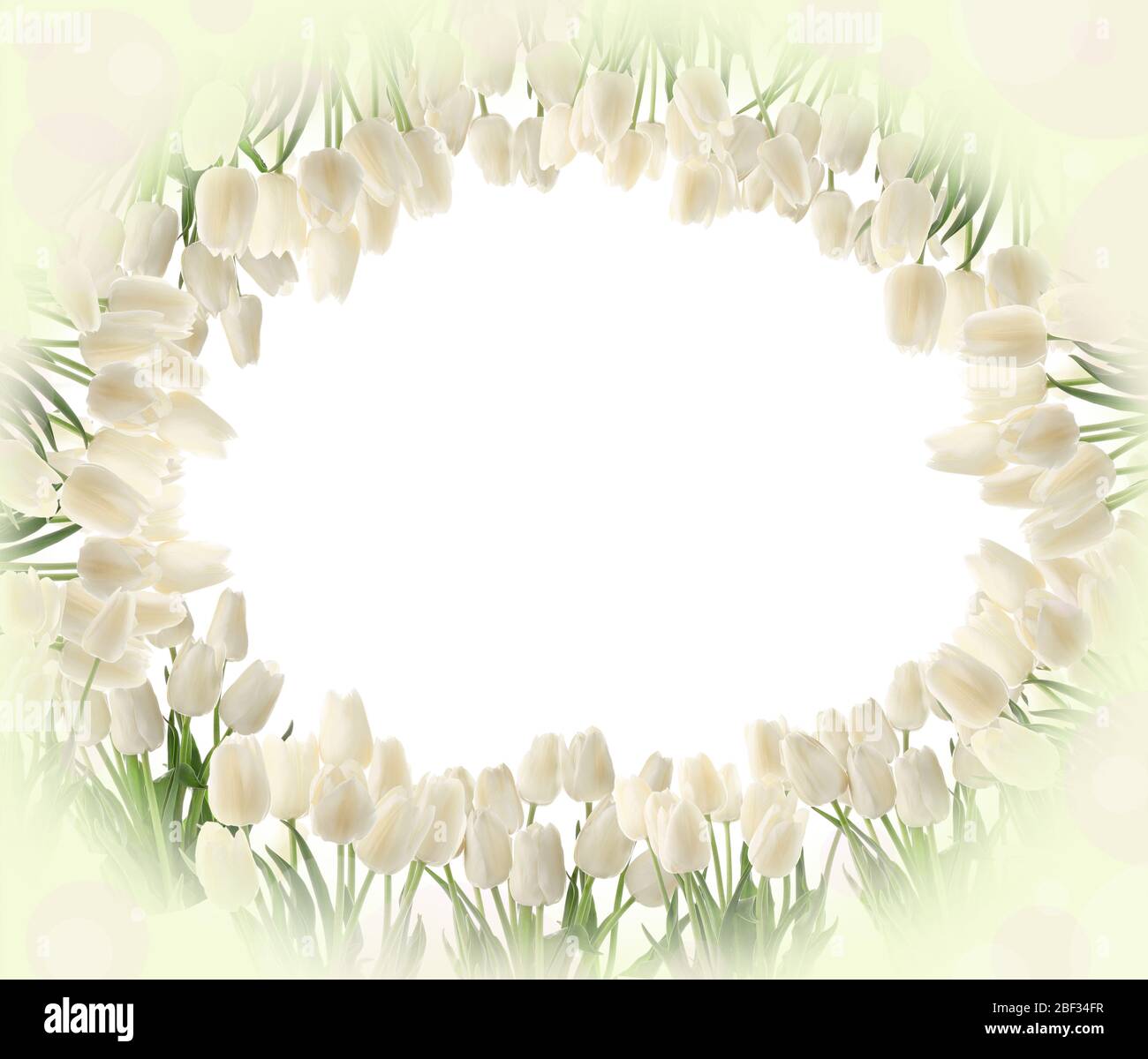 Frame made of beautiful tulips on white background Stock Photo - Alamy