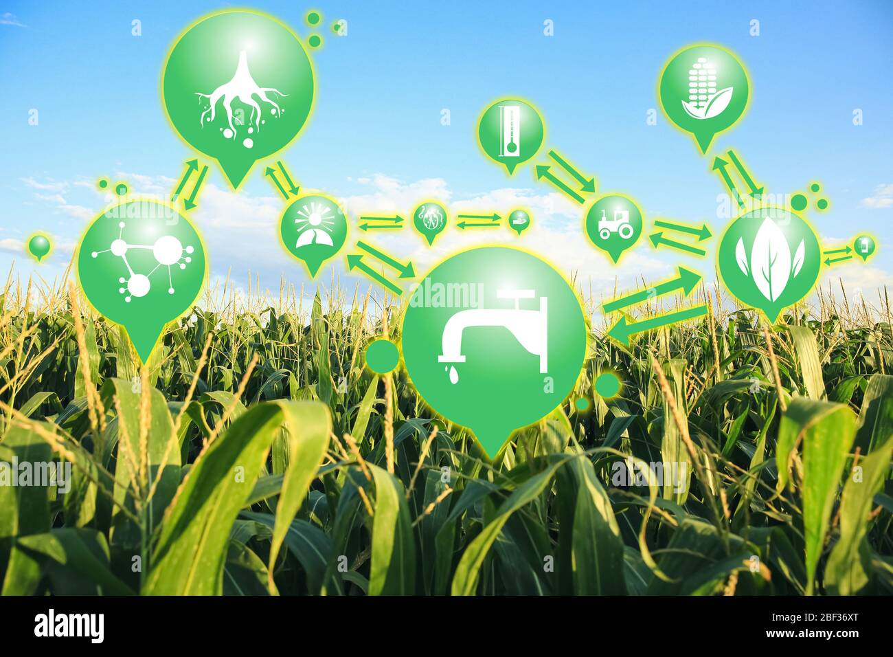 Iot farm hi-res stock photography and images - Alamy