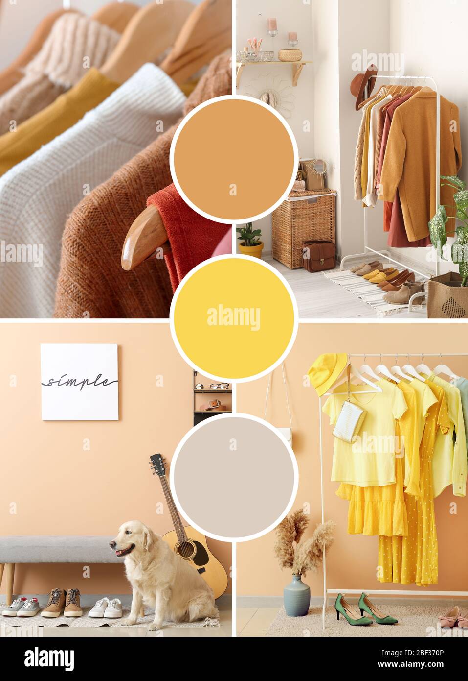 Collage of photos with modern clothes. Different color patterns Stock ...