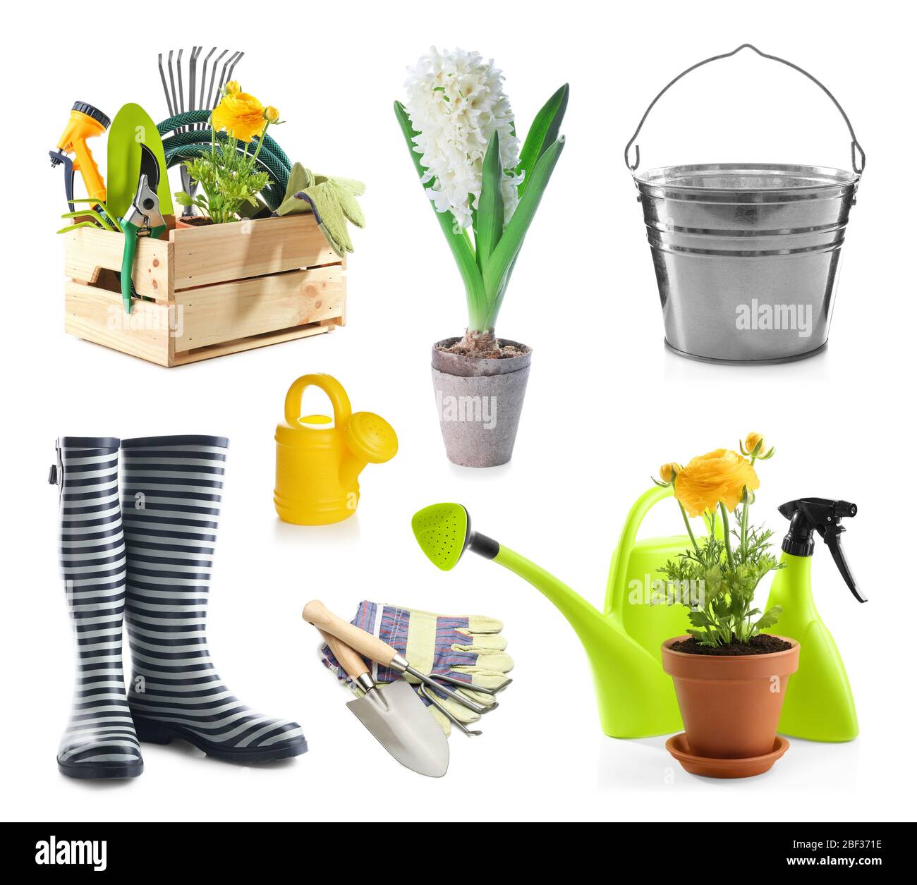 Set of gardening equipment with plants on white background Stock Photo ...