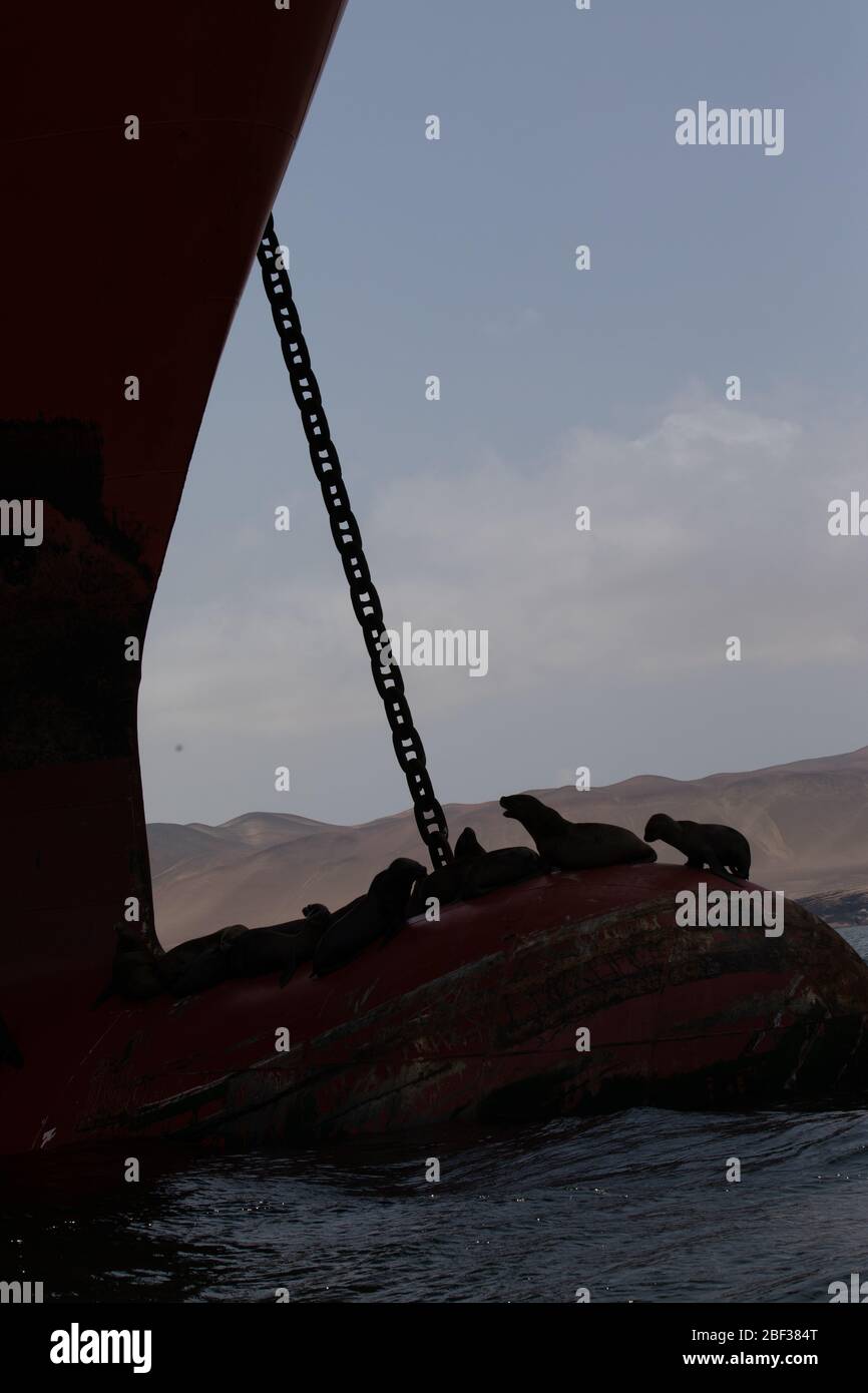 Ship profile hi-res stock photography and images - Alamy