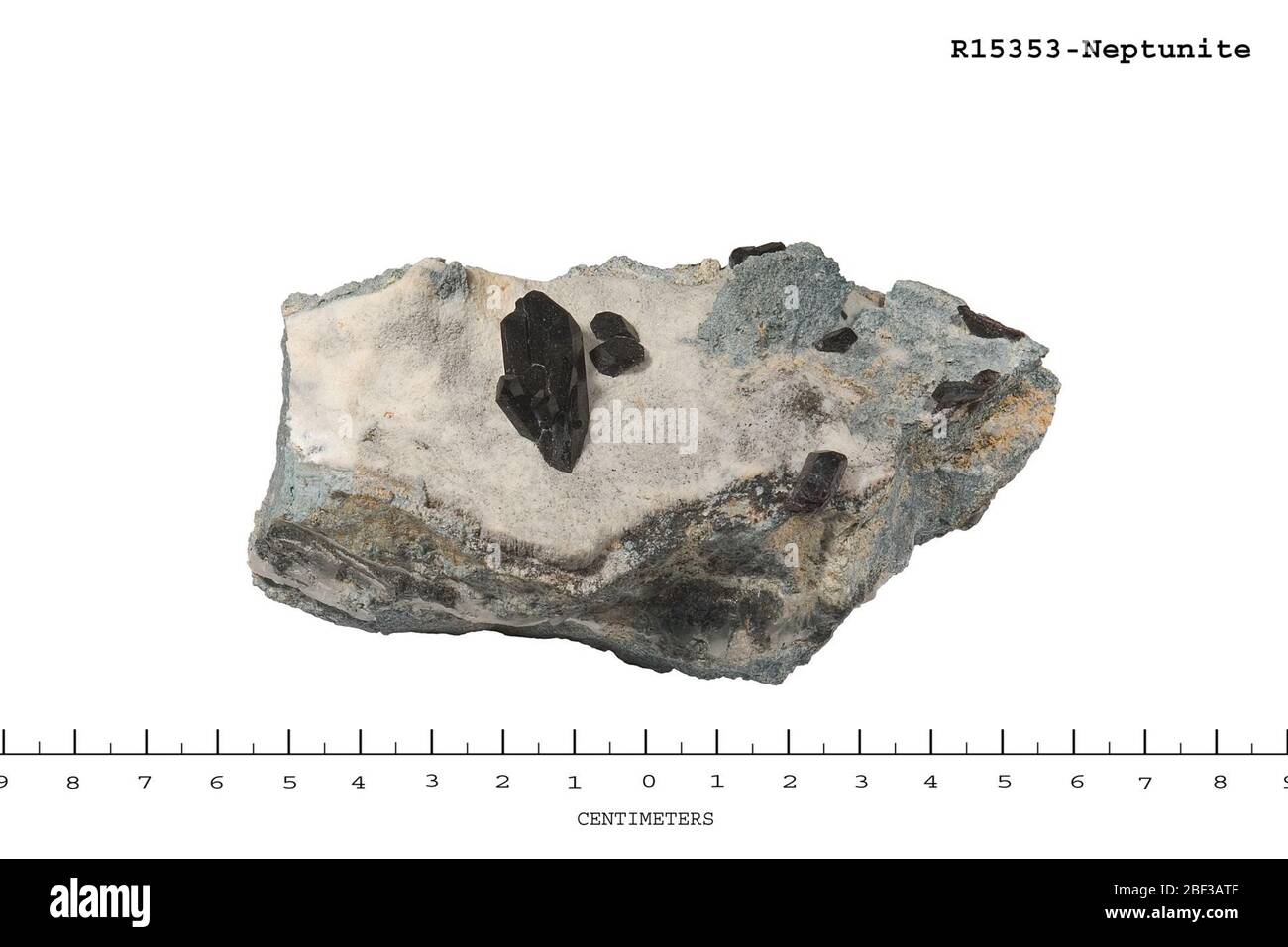 Neptunite hi-res stock photography and images - Alamy